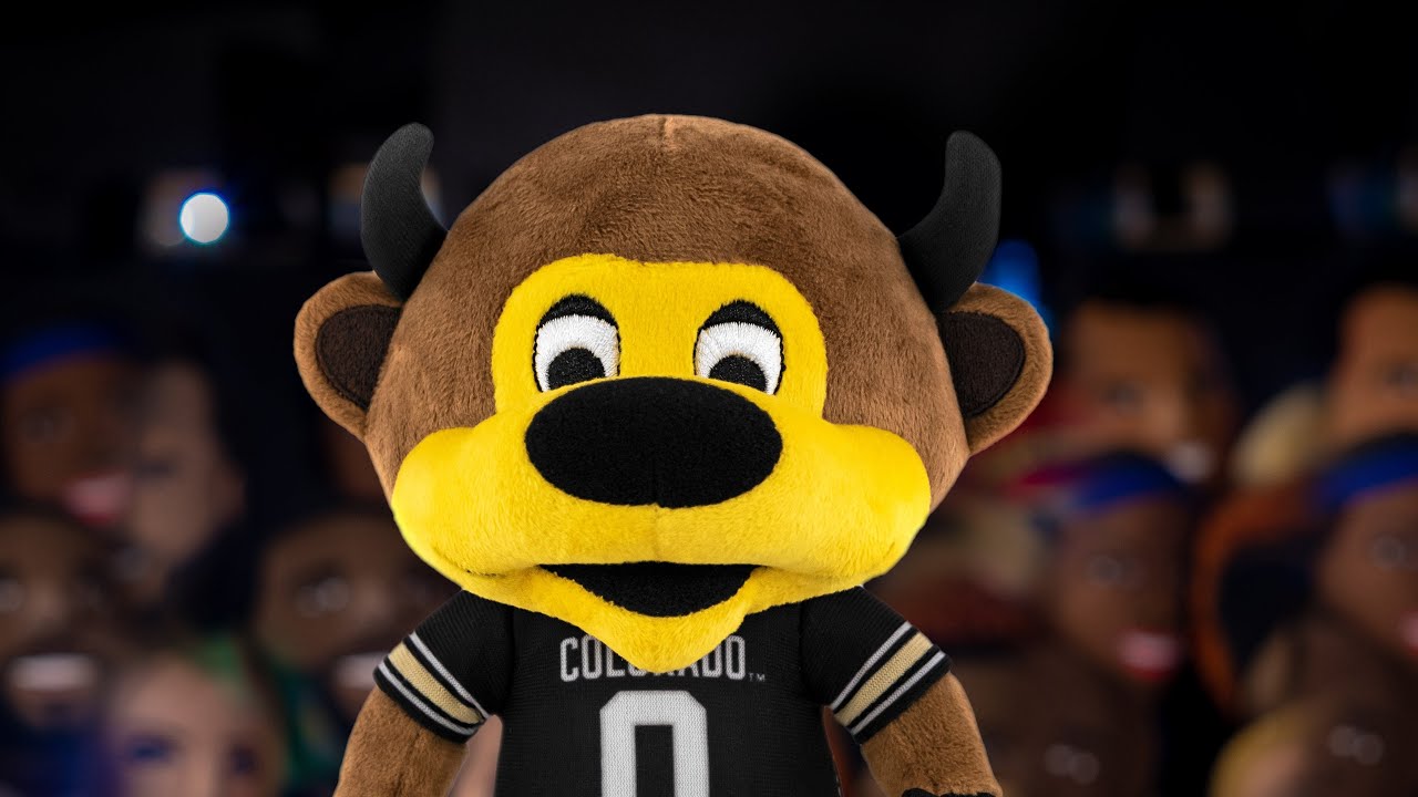 Colorado Buffaloes Chip The Buffalo 10" Mascot Plush Figure - YouTube