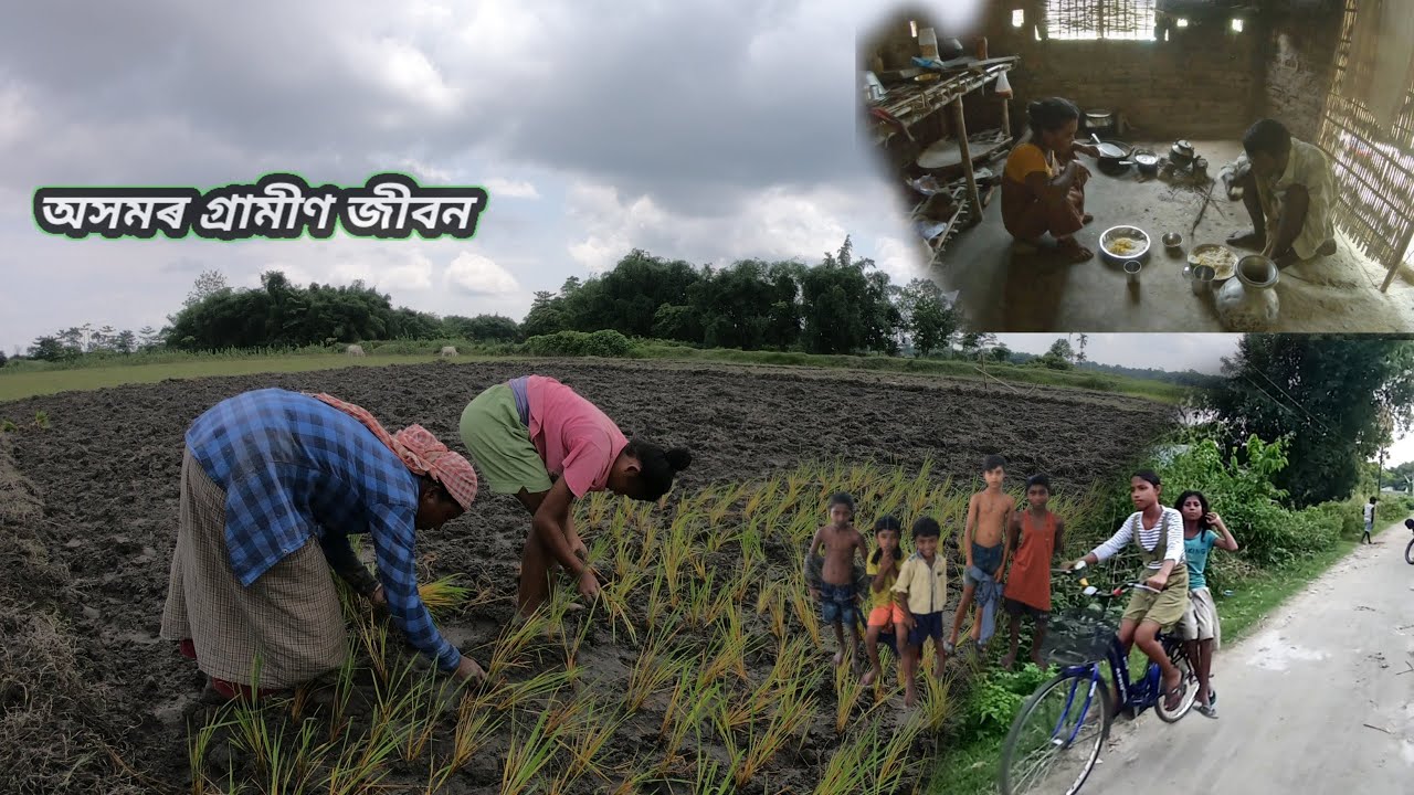India Village Life, Assamese Village Life, আসামের গ্রামীণ মানুষের জীবন# ...