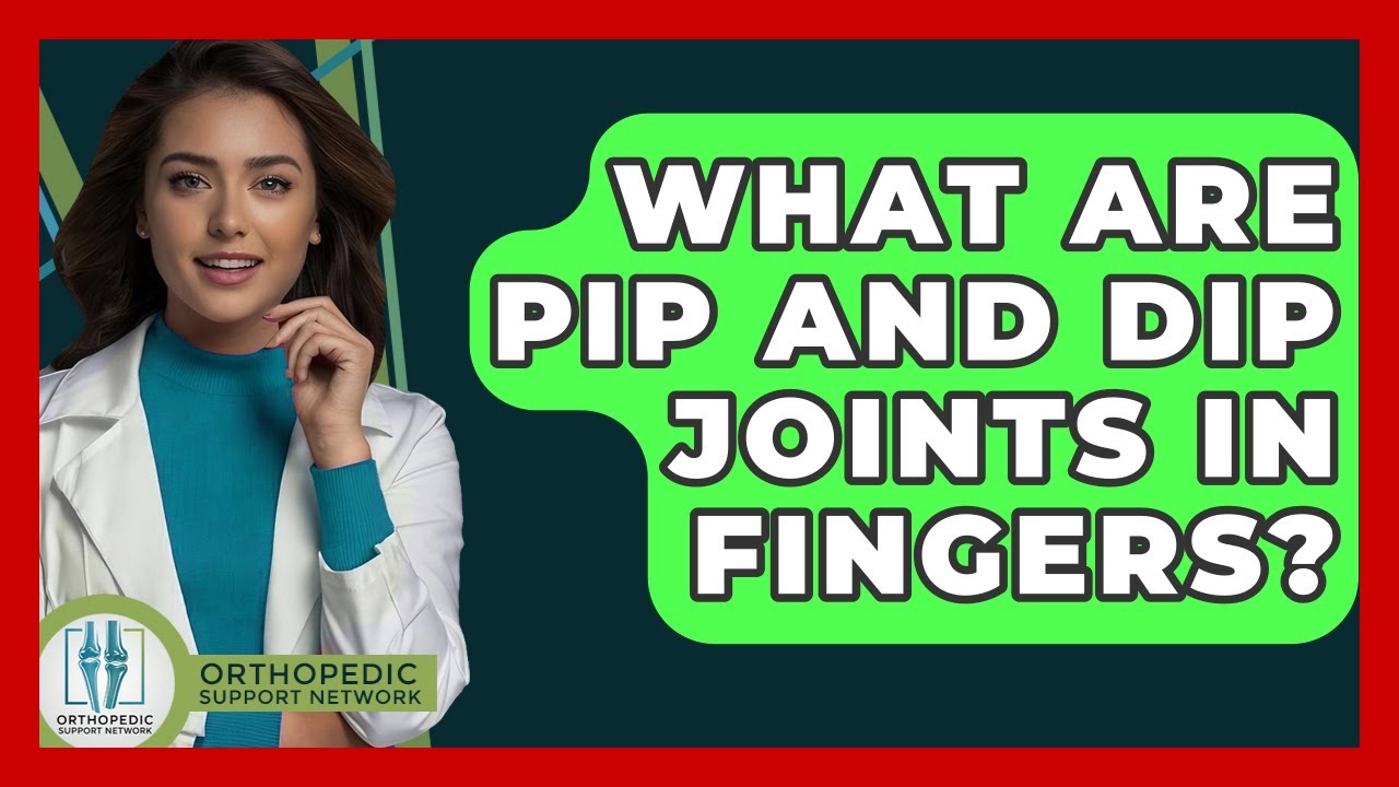 What Are PIP And DIP Joints In Fingers? - Orthopedic Support Network ...