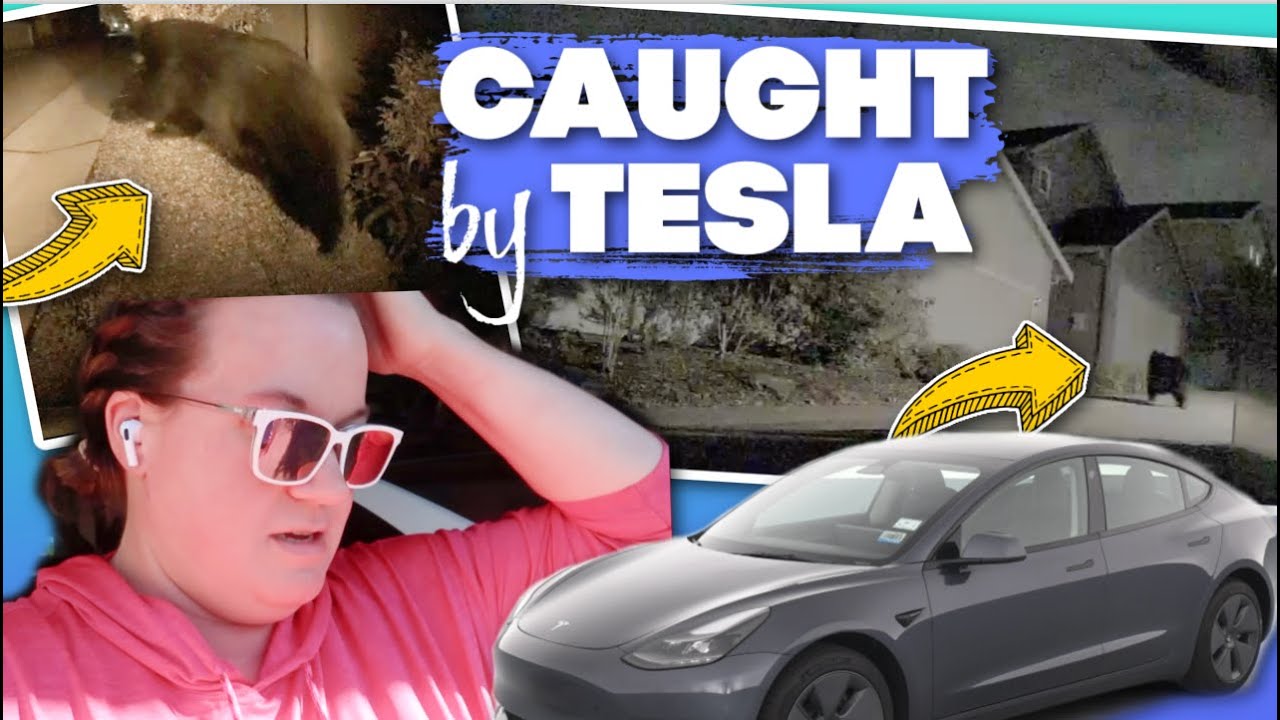 OUR TESLA CAUGHT AND SCARED A BEAR AWAY! | CAPTURING BEAR ON OUR TESLA ...