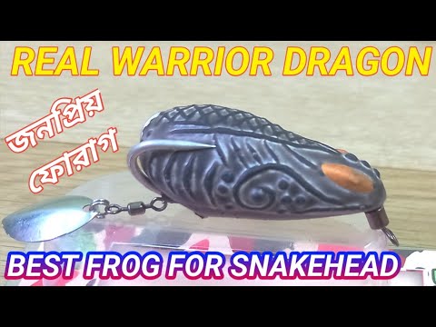 REAL WARRIOR DRAGON FROG 🐸 | কৃত্রিম ব্যাঙ শোল মাছ ধরার জন্য 🐸 ...