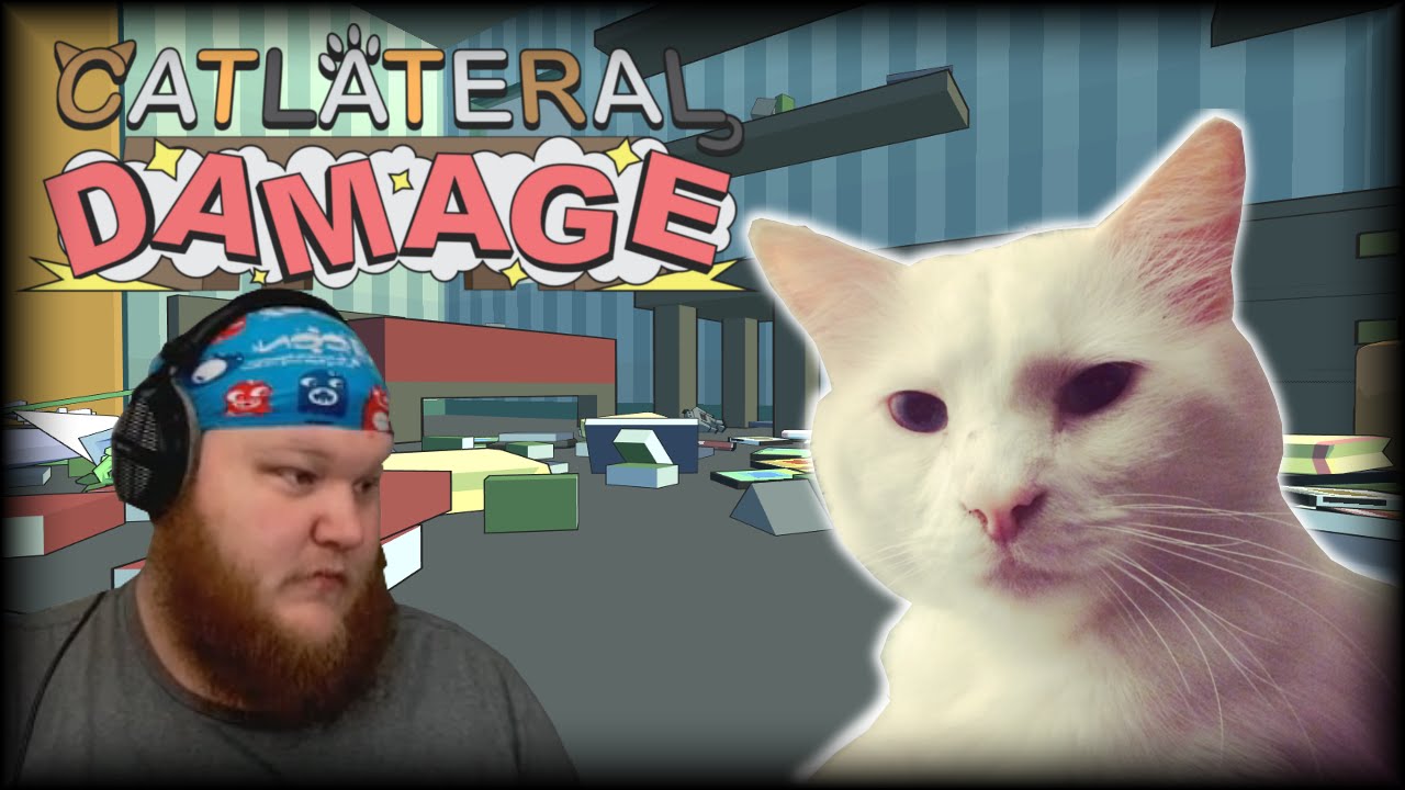 Catlateral Damage | HIGH ON CATNIP - YouTube