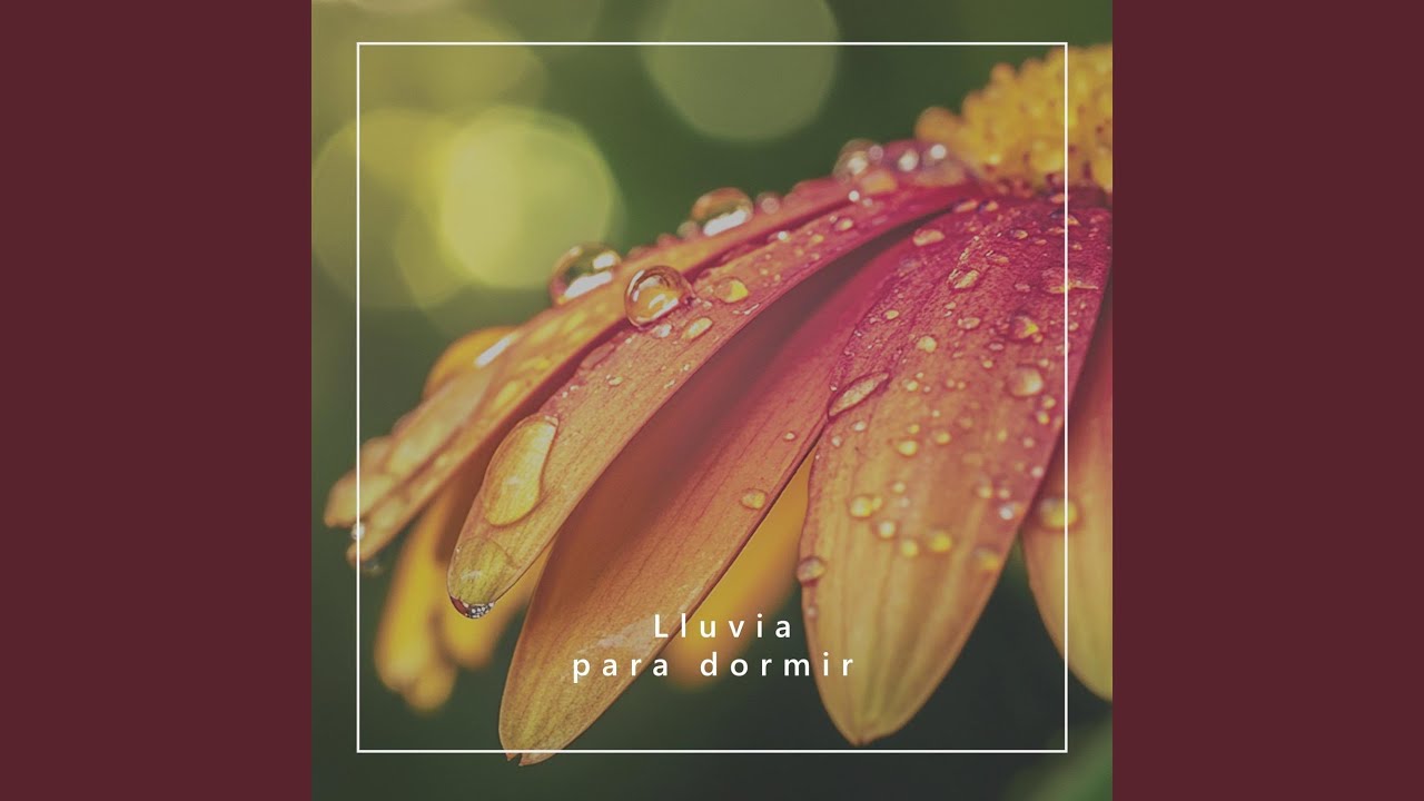 Lluvia Tranquila - YouTube