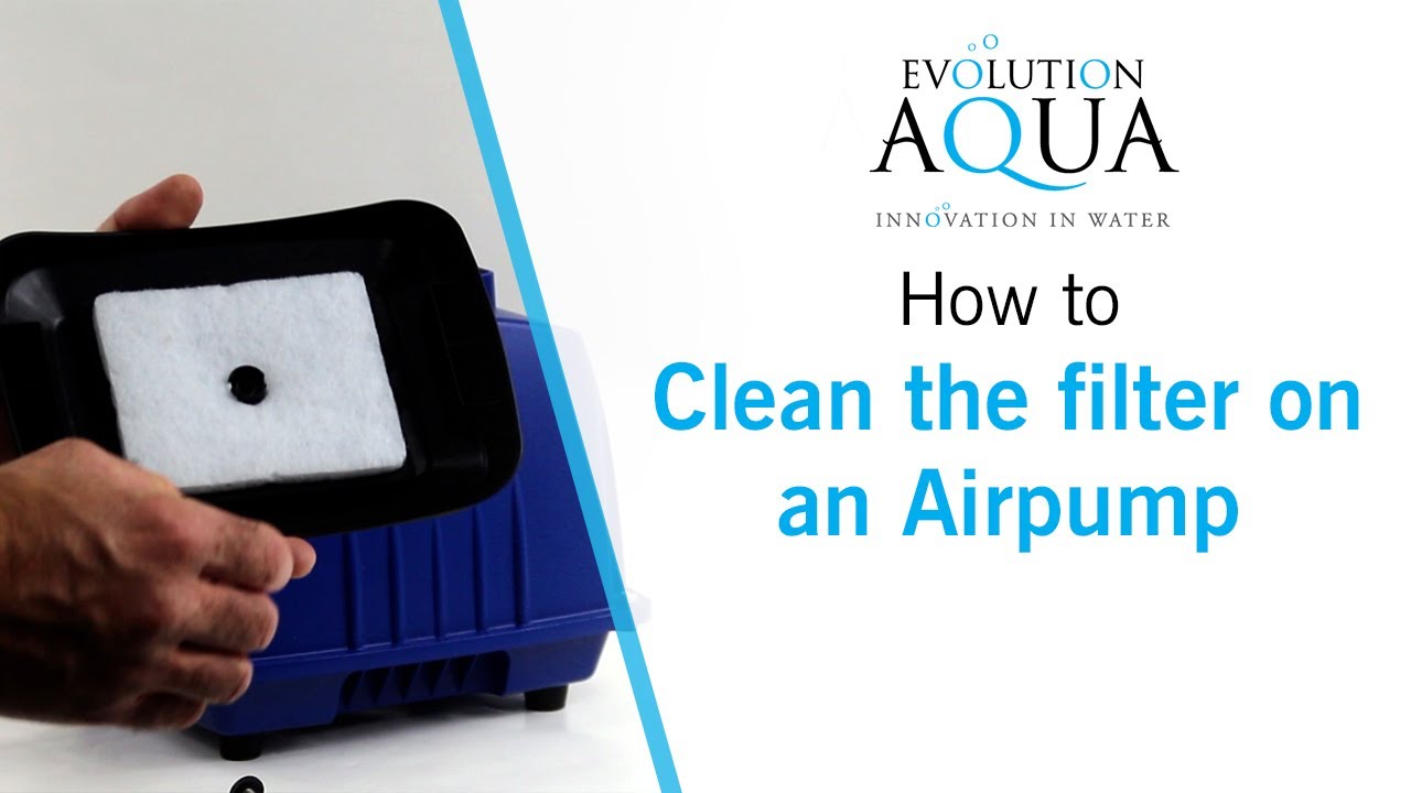 How to clean the filter on an Airpump - YouTube