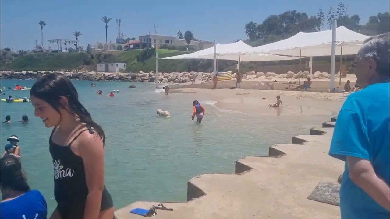 חוף שדות ים - YouTube