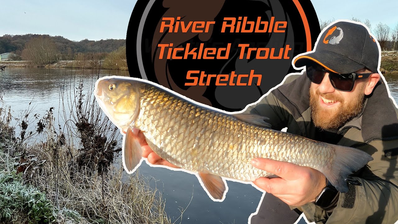 Feeder Fishing In Sub Zero Temperatures | River Ribble Tickled Trout ...