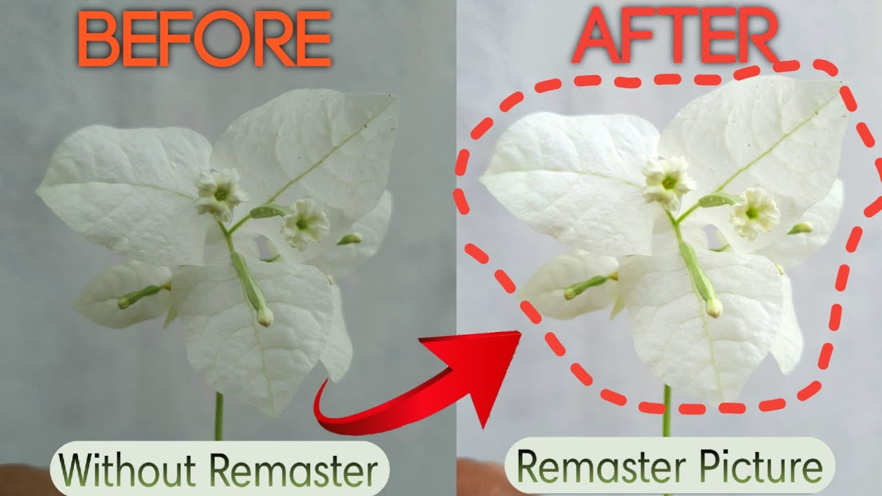 What is samsung Remaster Picture | Remaster picture kya hota hai - YouTube