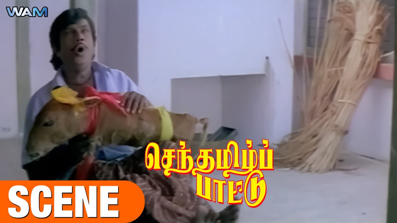 Goundamani Acts Like He is Insane | Senthamizh Paattu Movie Comedy ...