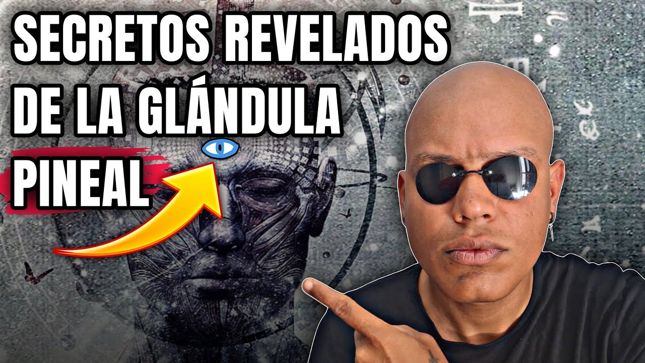 SECRETOS REVELADOS de la GLÁNDULA PINEAL - YouTube