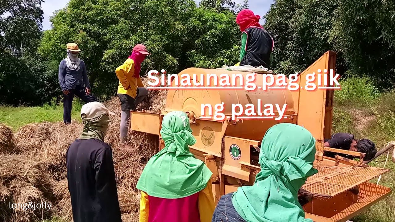 Sinaunang pag giik ng palay gamit ang thresher - YouTube