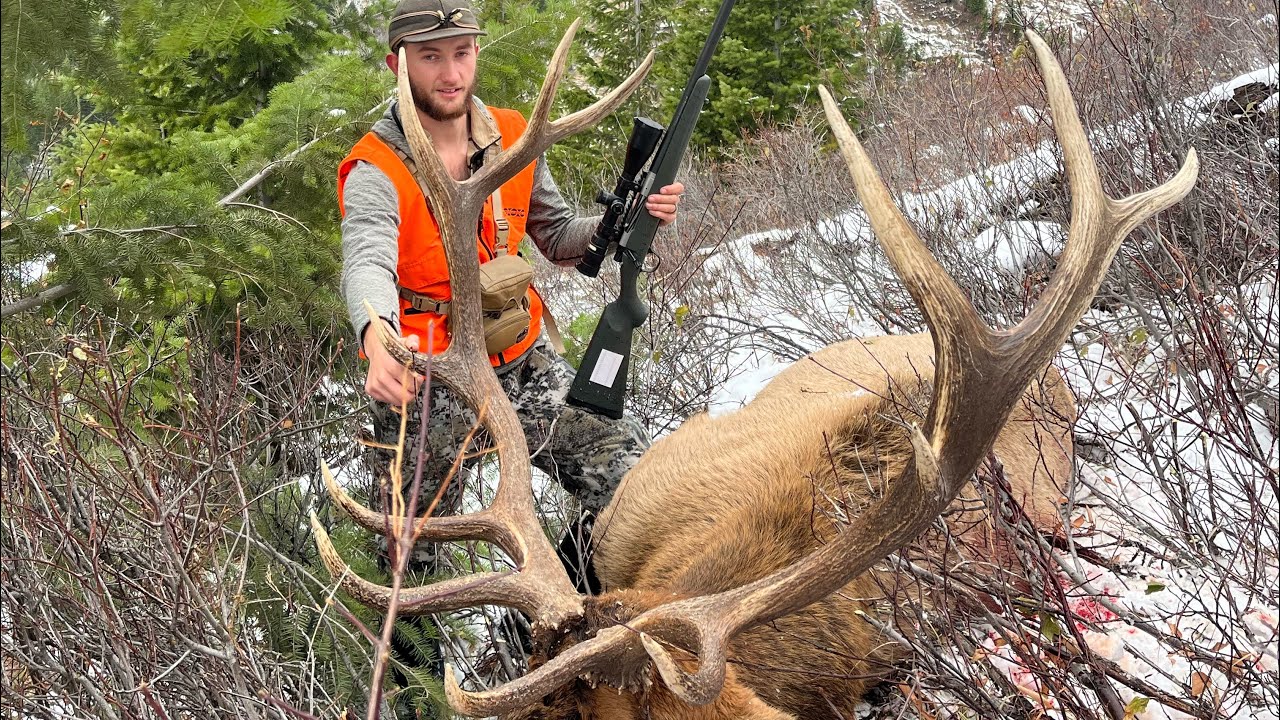 2 MONTANA BULLS DOWN!!! | S7E21 | Limitless Outdoors - YouTube