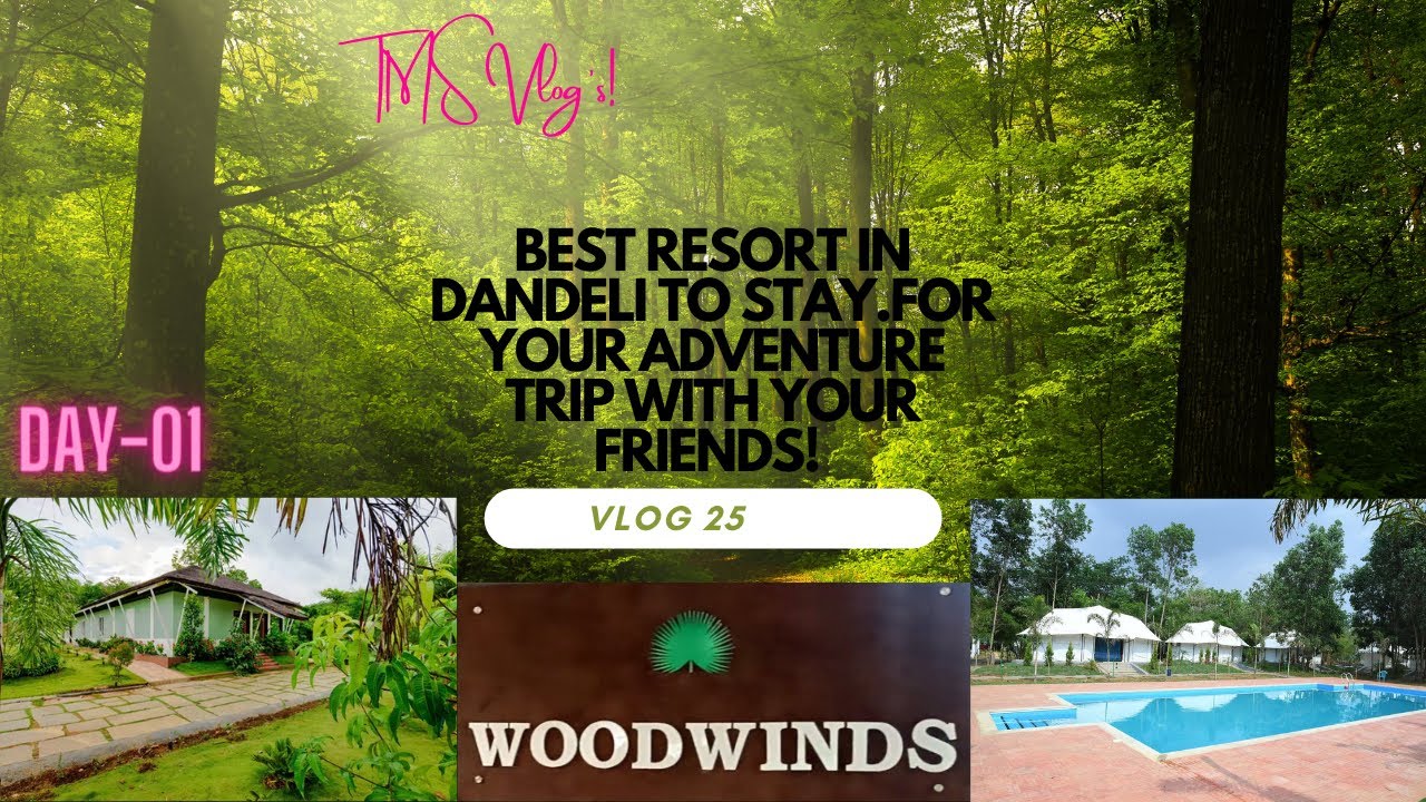 Wood Winds| Best nature resort in dandeli trip|| Vlog 25|| TMS Vlogs ...