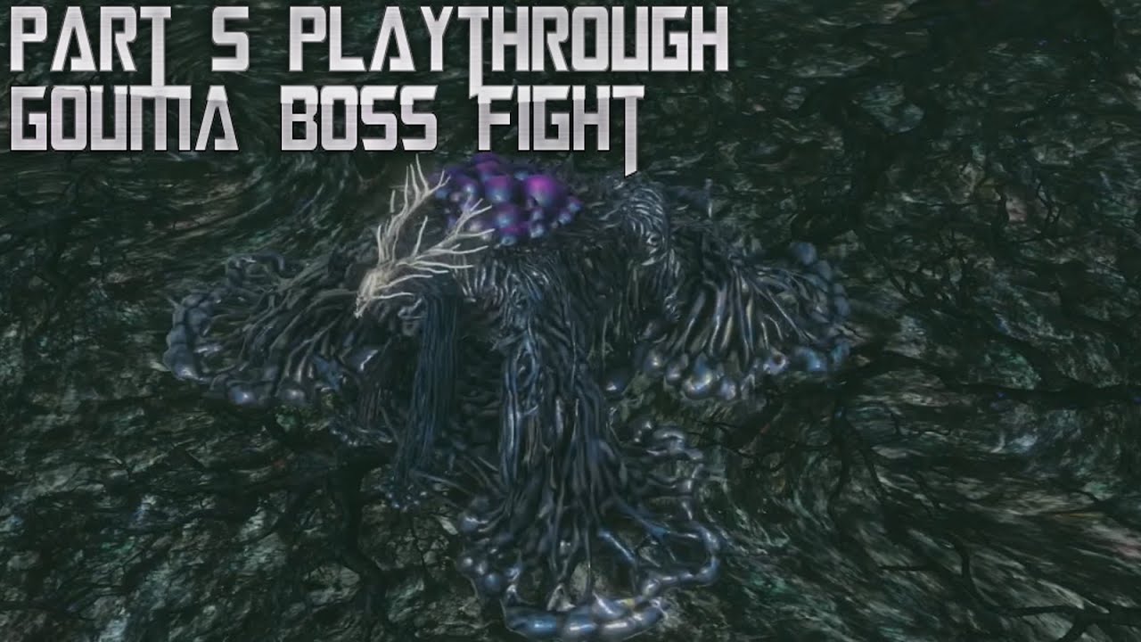 Warriors Abyss Part 5 Playthrough Gouma Boss Fight - YouTube