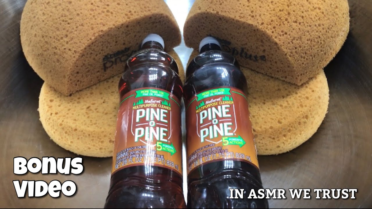 ASMR 🤎🌲🤎 Pine-o-Pine Bonus Video | Grupo Alen Collab - Day 8 - YouTube