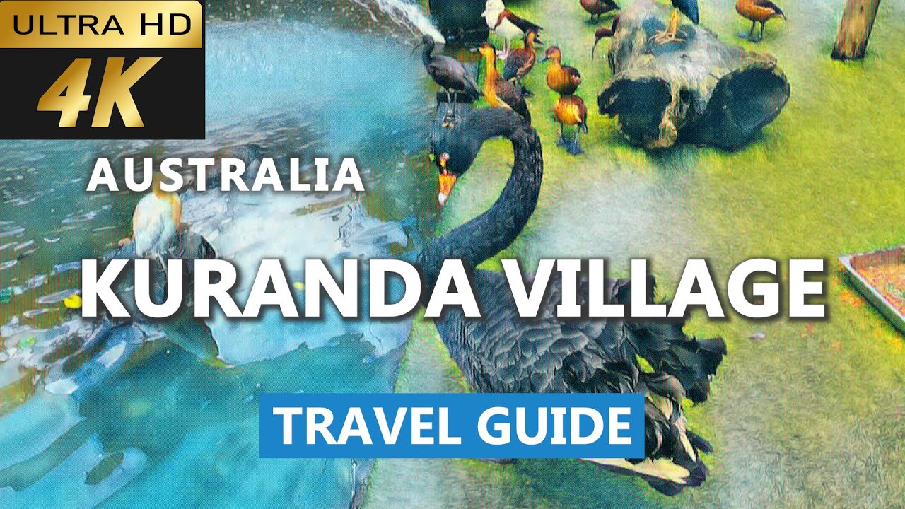 [4k] Kuranda Village Travel Guide | Kuranda village in the rainforest ...