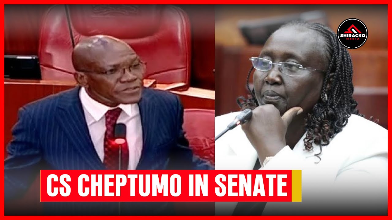LIVE:DRAMA in Senate as Ruto's Gender CS Cheptumo Faces Senators ...