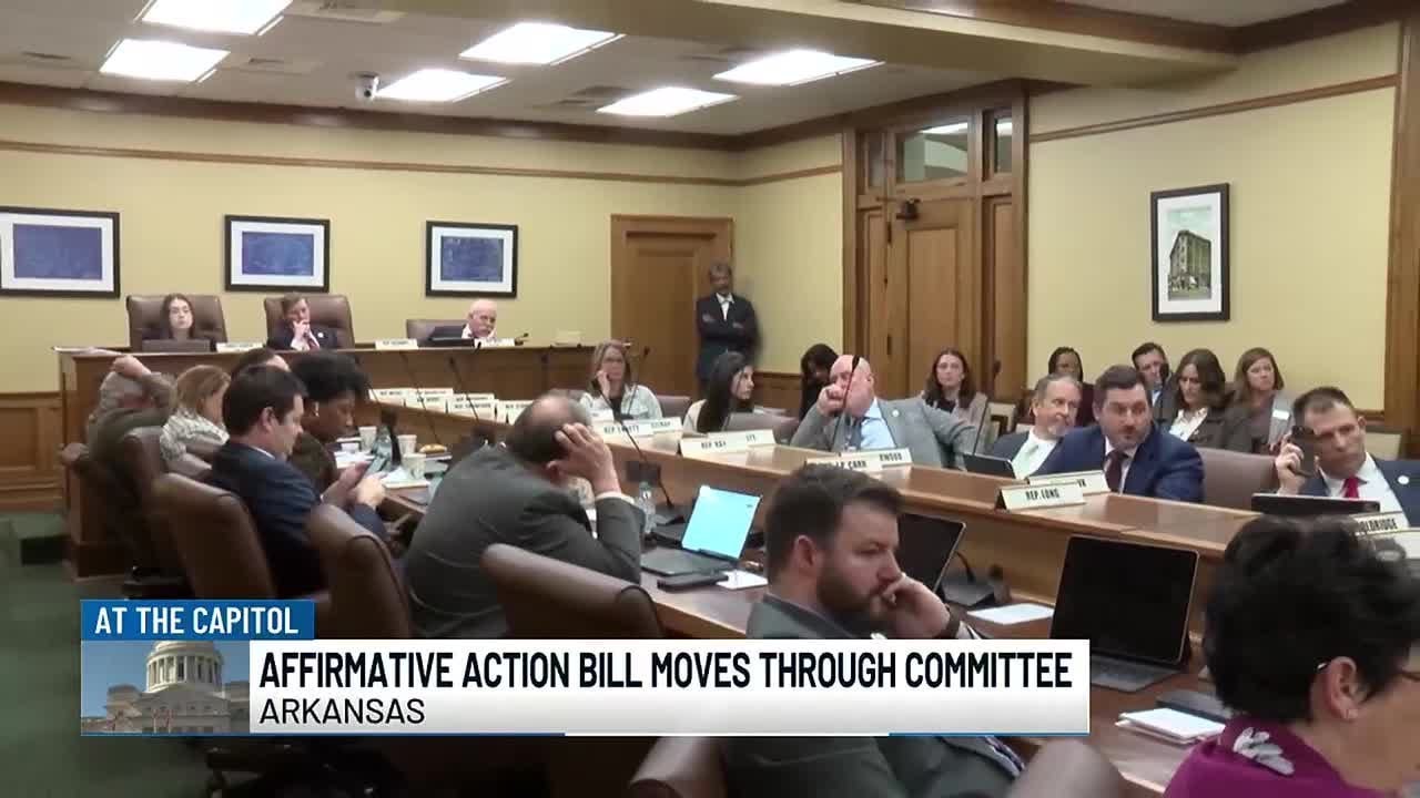 Anti-affirmation action bill moves through committee - YouTube