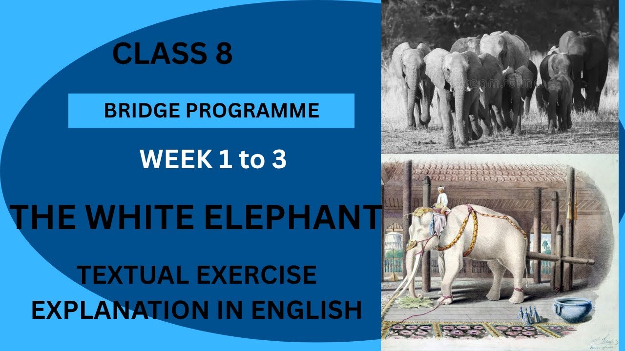 Class 8 NCERT Bridge Course - The White Elephant | Textual Exercise ...