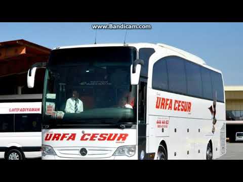 Urfa cesur yolarda