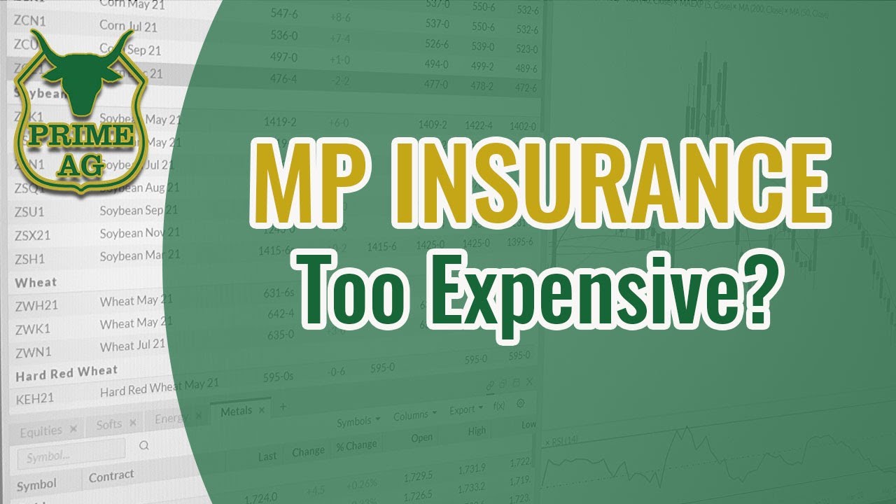 MP Insurance. Is the coverage worth it? - YouTube