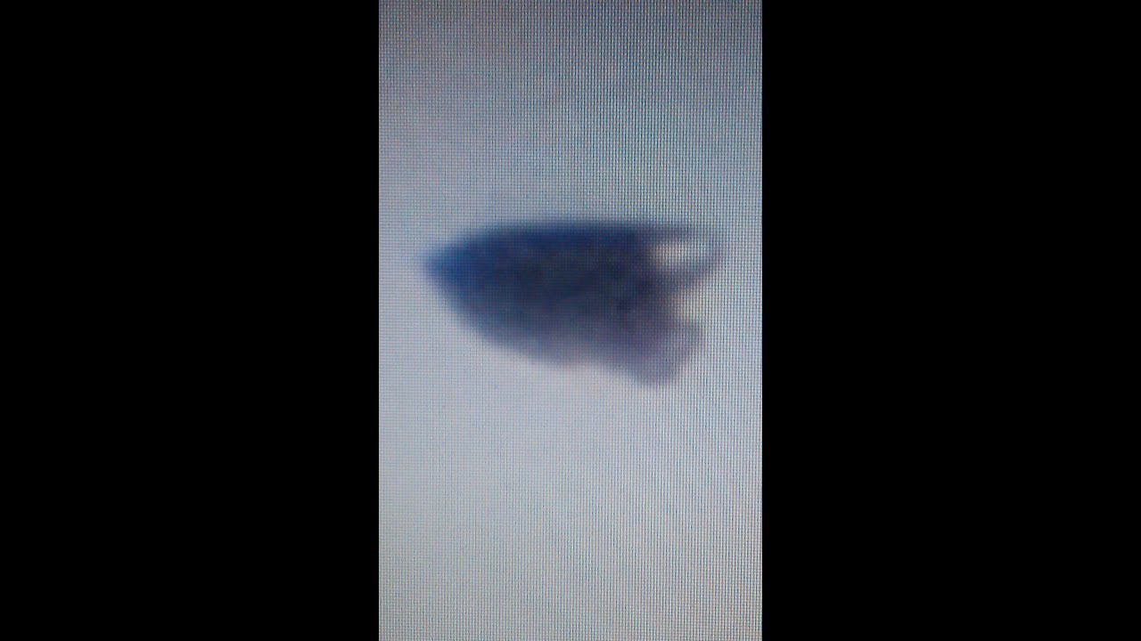 Ufo orb creature Sydney 18th Oct raw film - YouTube