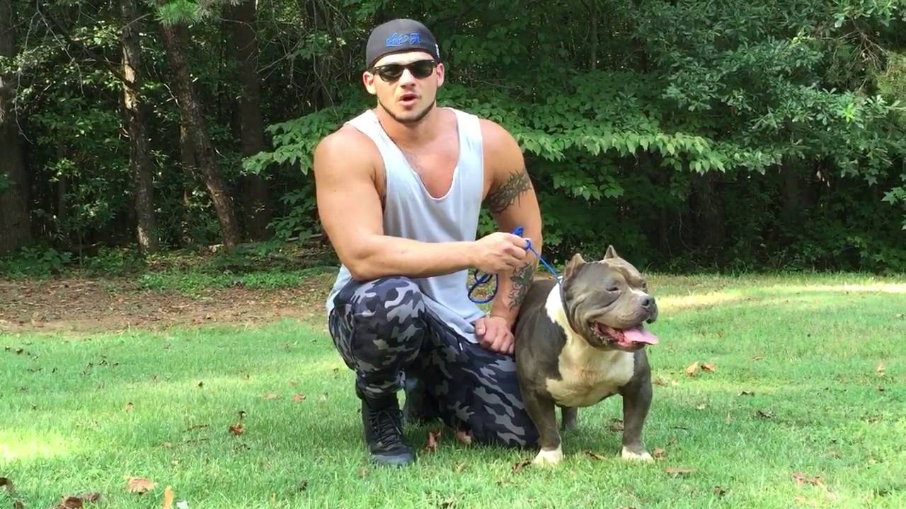 Mo Money chillin at the farm and some humor from the haters - YouTube