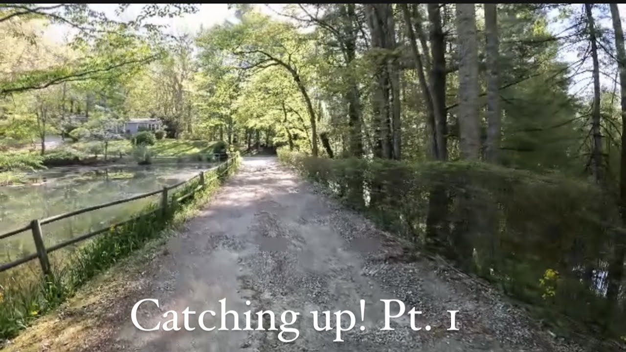 Catching up Pt 1 - YouTube