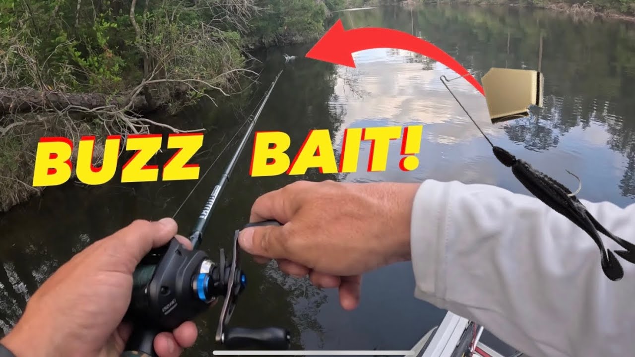 Buzz Bait BEATDOWN!! - YouTube