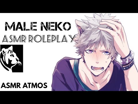 Stray Male Neko🐱|ASMR mini-Roleplay🐈 - YouTube