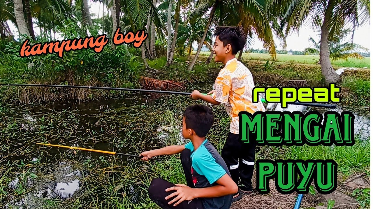 #EP1172 Casting Haruan | Mancing Ikan Puyu | Aktiviti Kampung - YouTube