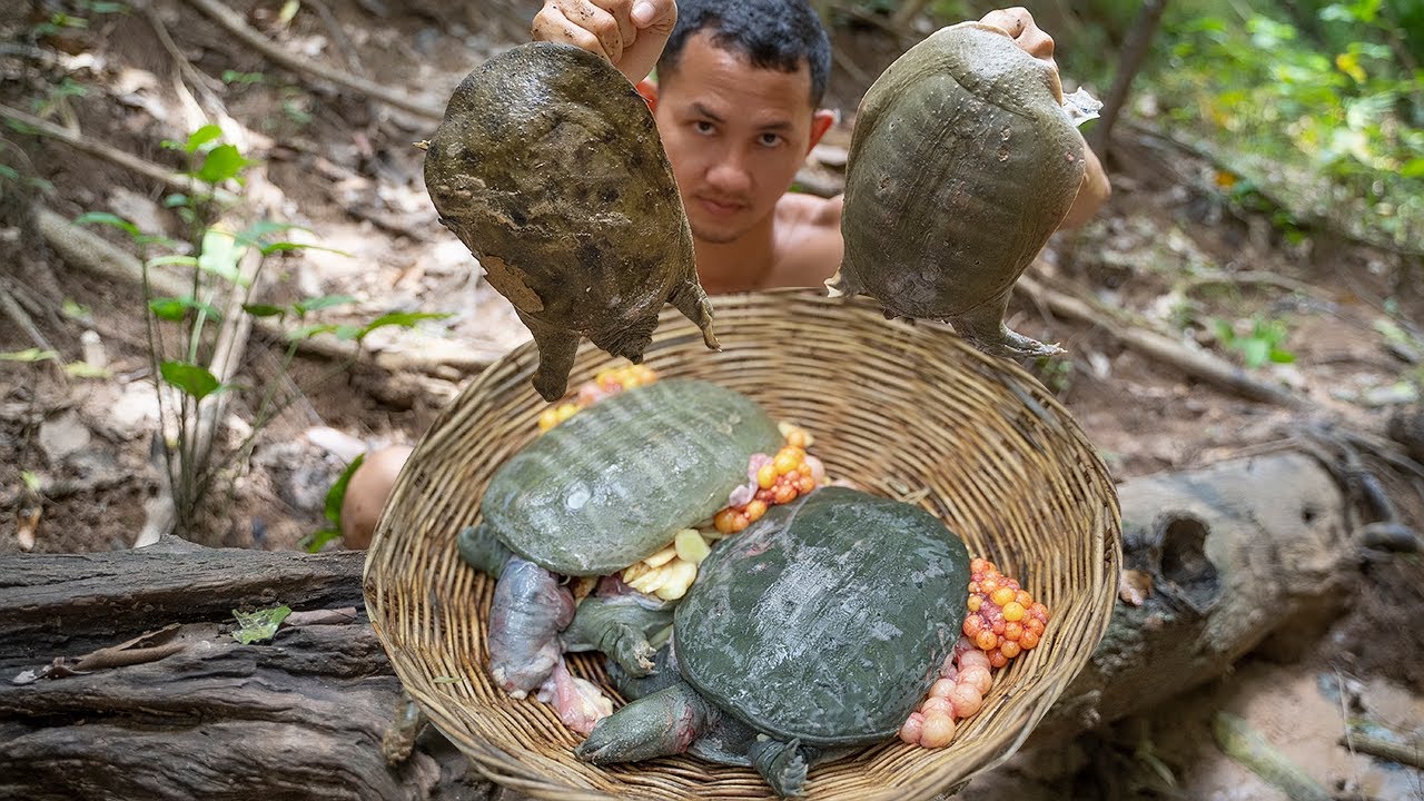 Update 2022! Catch n Cook Turtle in Forest - YouTube