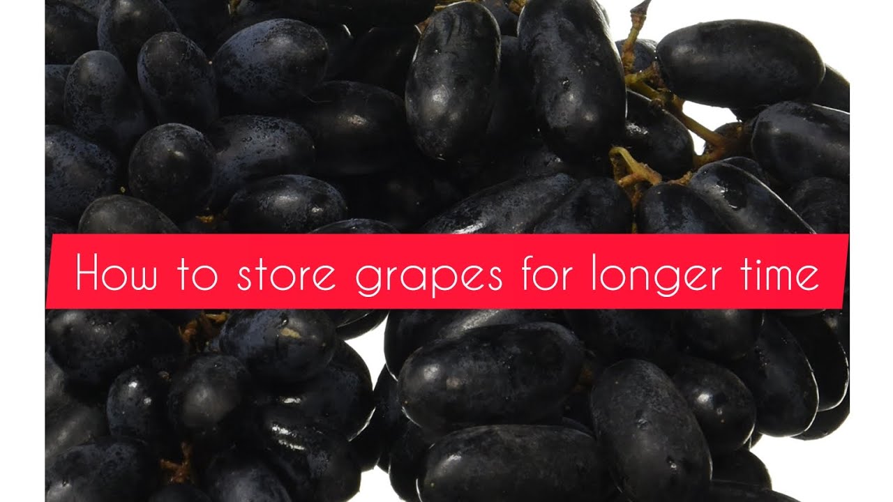 How to store grapes fresh in Fridge for long time | Tips & Tricks - YouTube