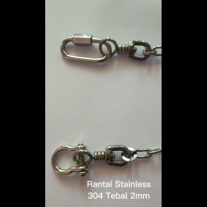Rantai Stainless Burung Parrot BnG Macaw - YouTube