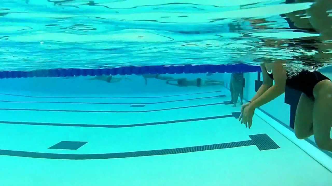 Butterfly Underwater Side View - YouTube