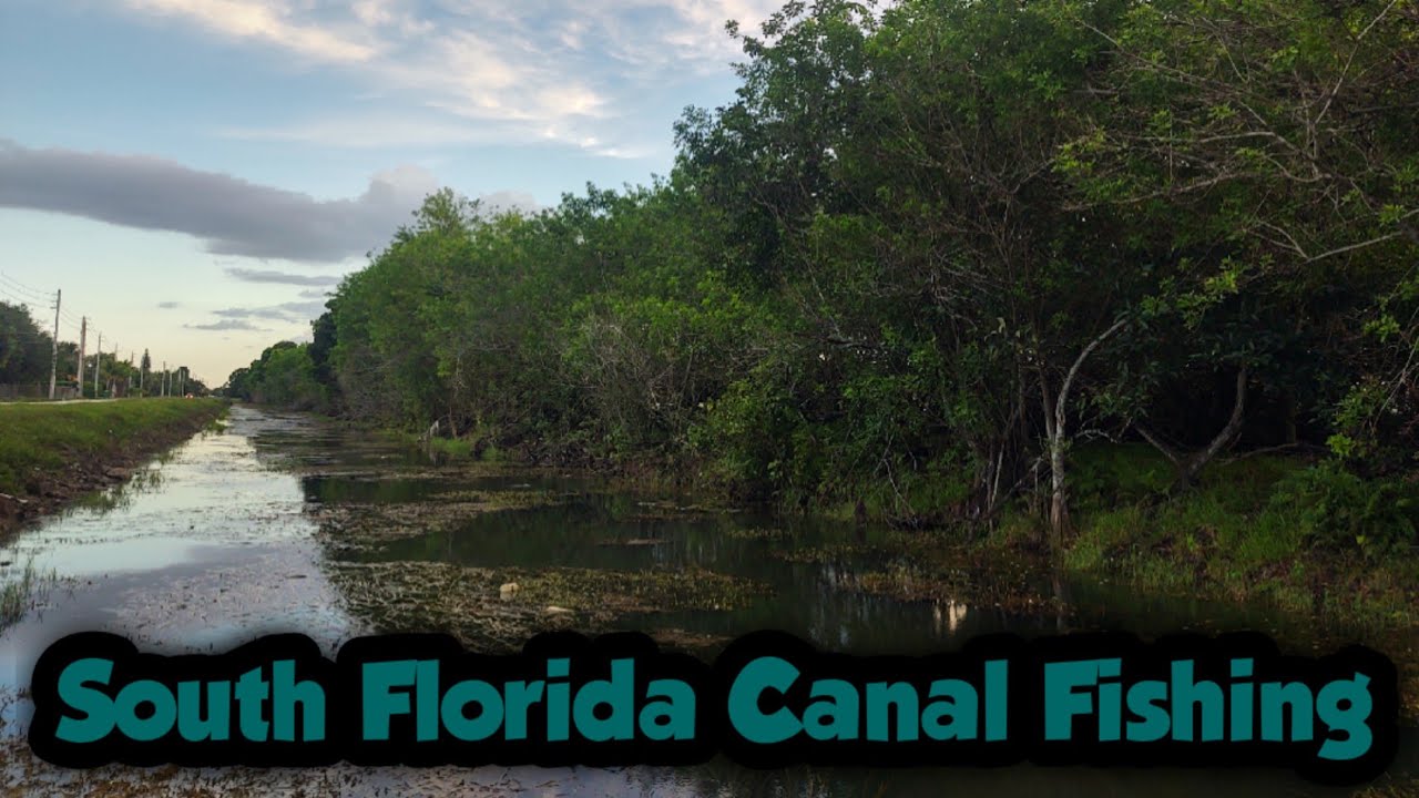An Evening of Fishing on a Small South Florida Canal - YouTube
