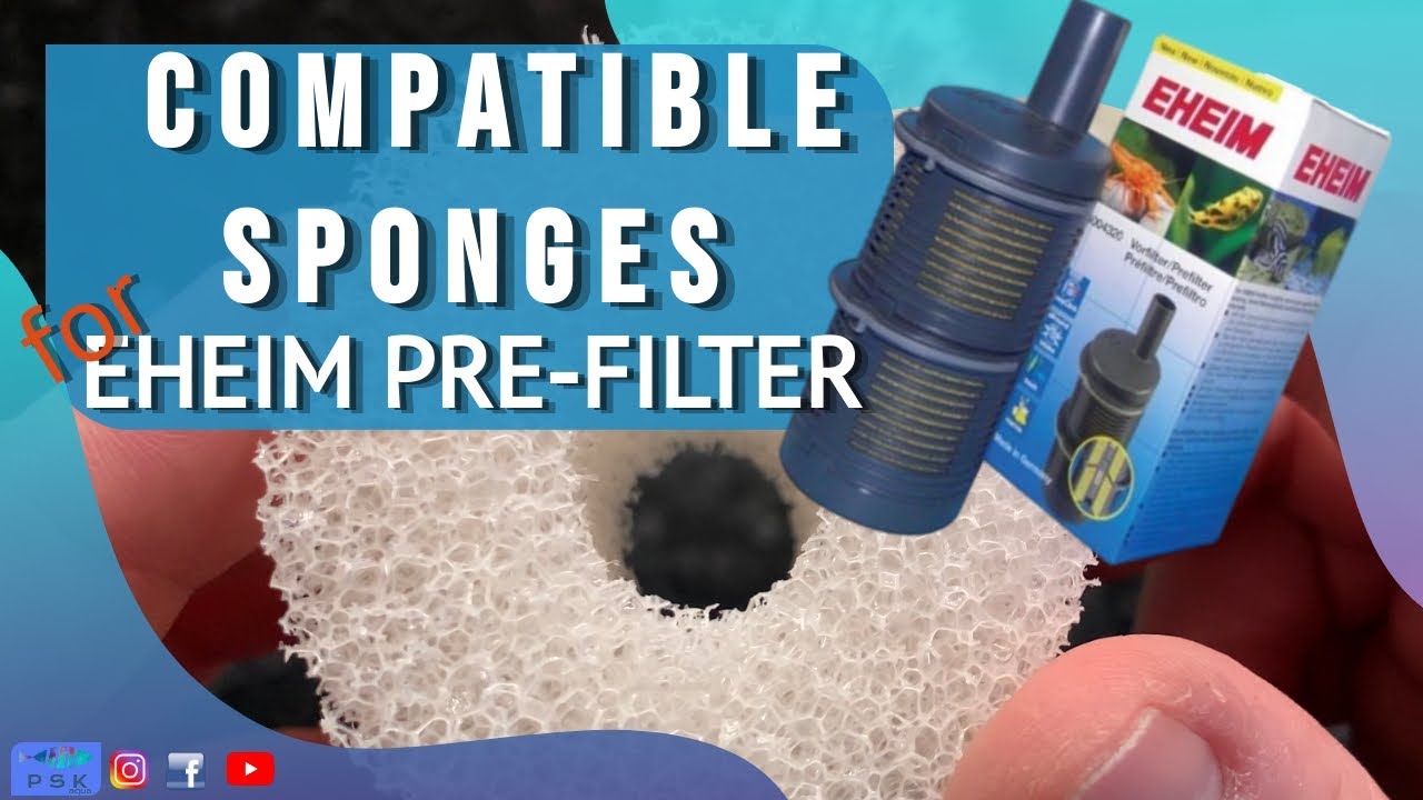 SAVE MONEY with these compatible sponges for EHEIM pre-filters - YouTube