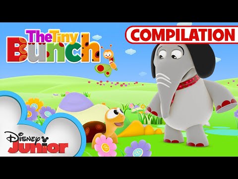 Adventures with the Tiny Bunch | Kids Songs & Nursery Rhymes | @disneyjr