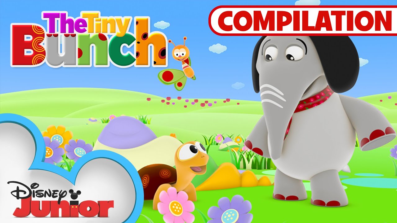 Adventures with the Tiny Bunch | Kids Songs & Nursery Rhymes ...