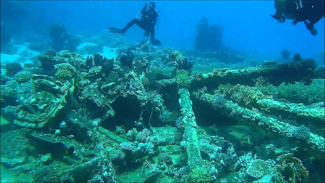 Shark and Yolanda reef Egypt Ras Mohamed - YouTube