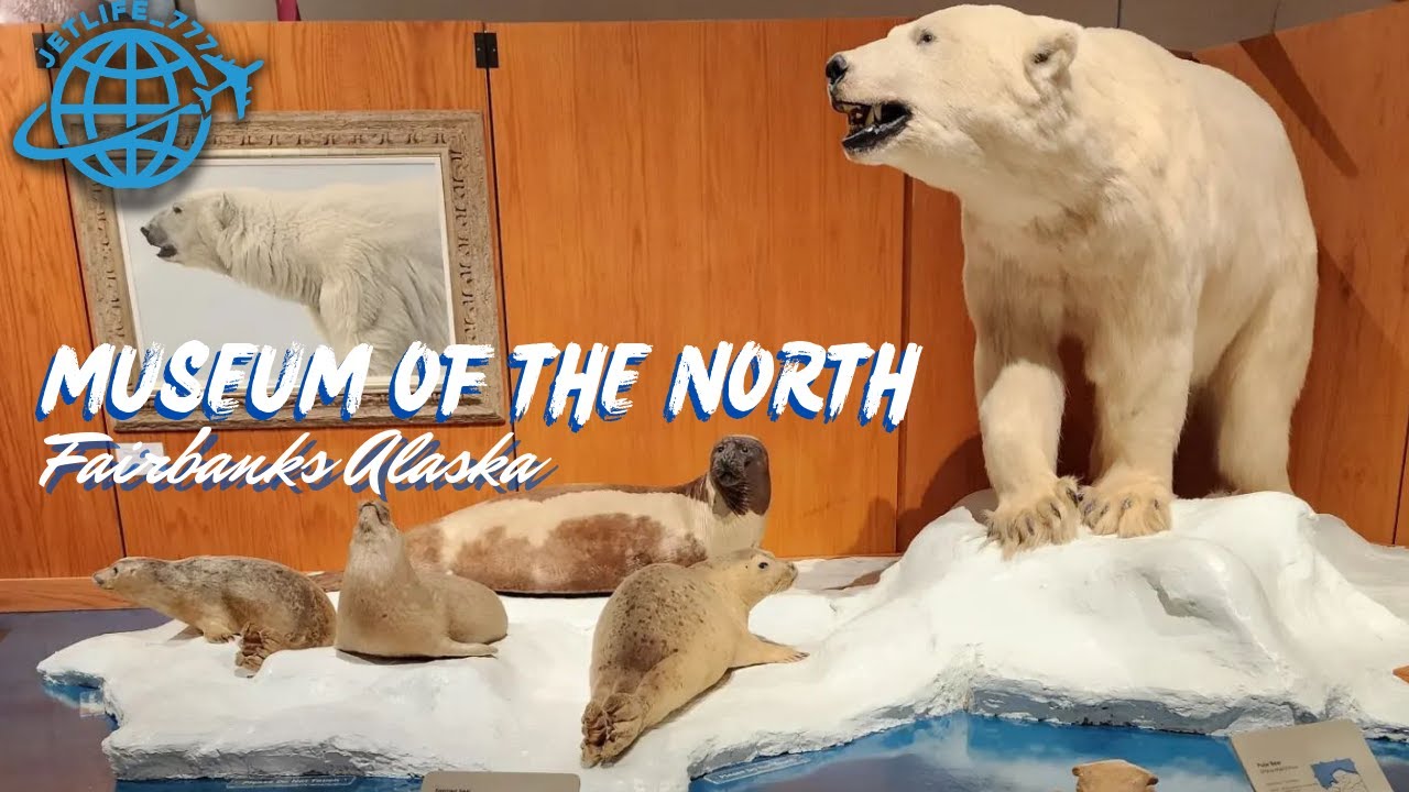 One of the best museums in Alaska (Museum of the North) - YouTube
