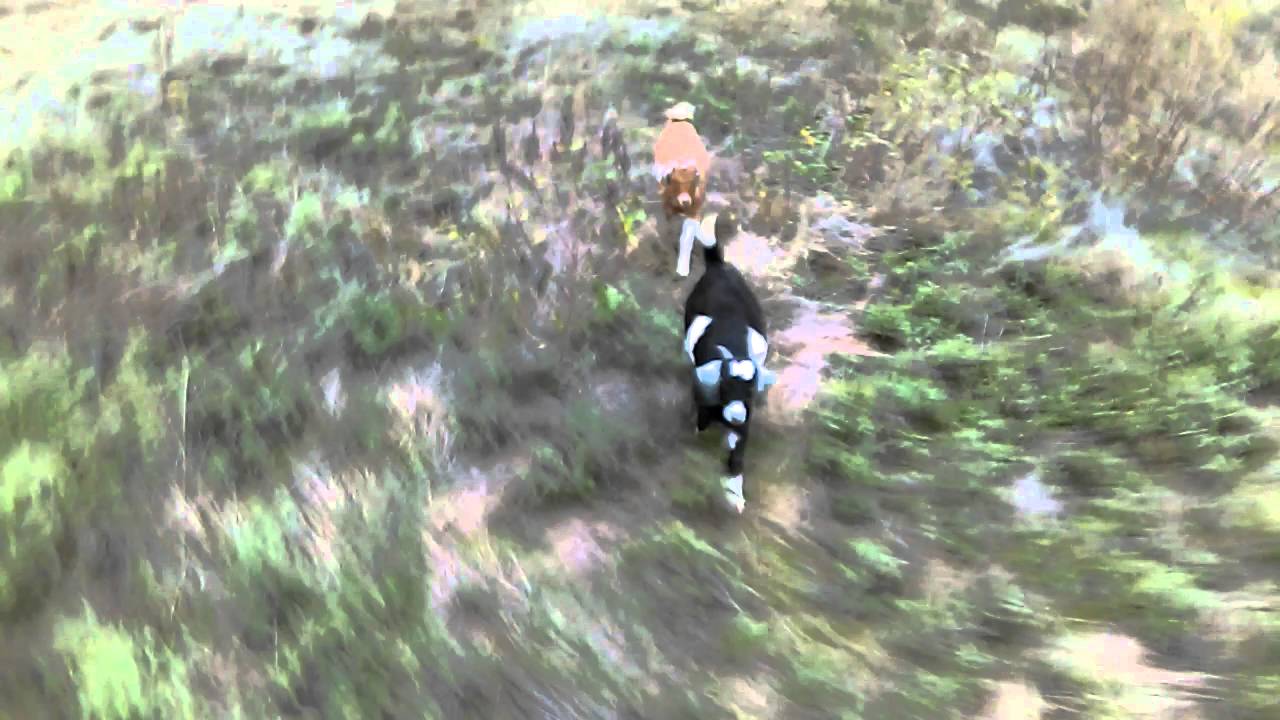 BlackBerry - pond - YouTube