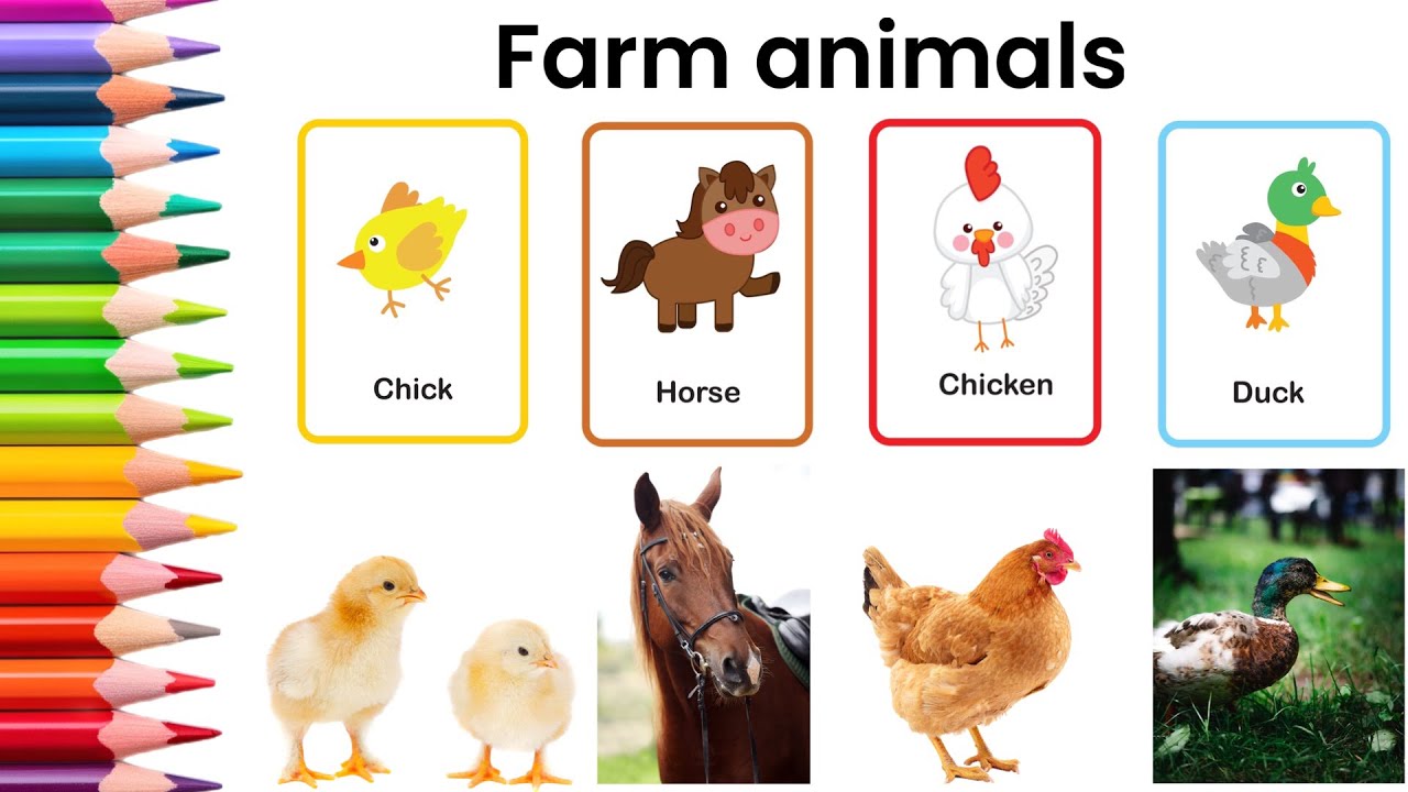 Phonics Song Farm Animals | Animals For Children | Cute Animals | Words ...