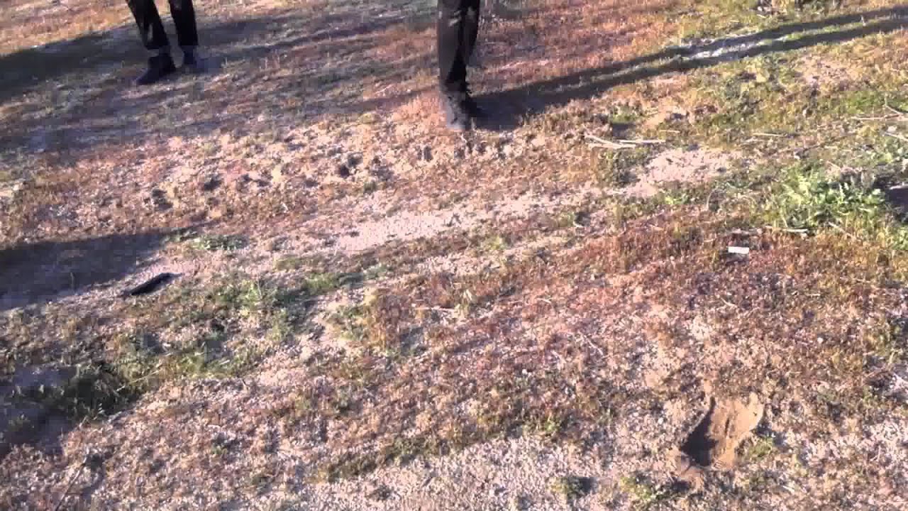 Behind the scene's making of "Role Model" by FreeSol and Justin ...