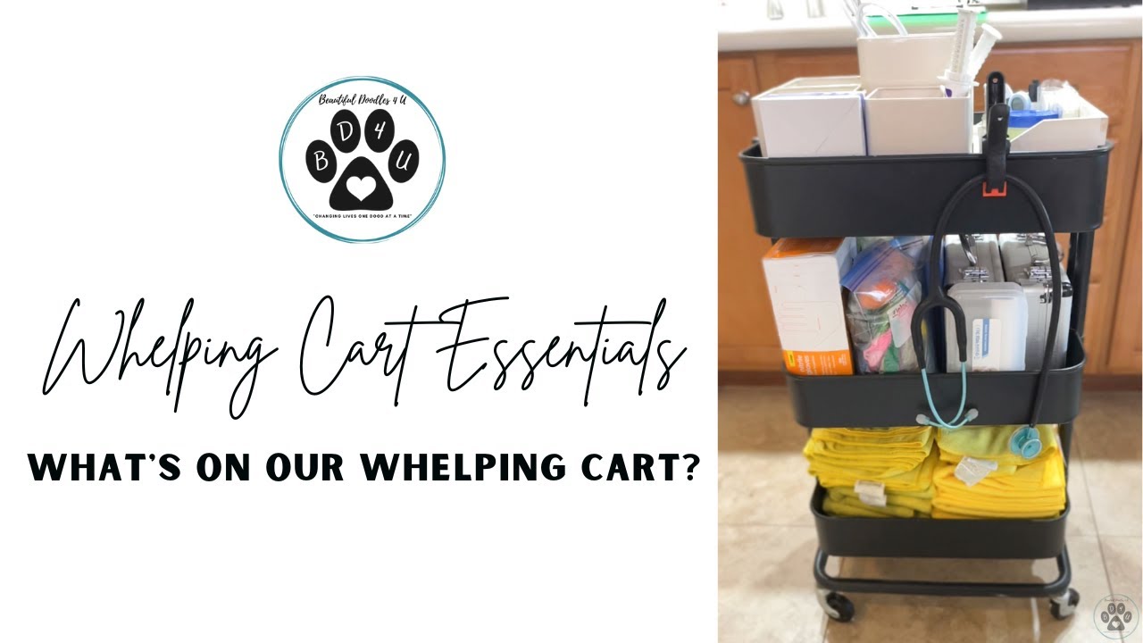 WHAT'S IN OUR WHELPING CART? - YouTube
