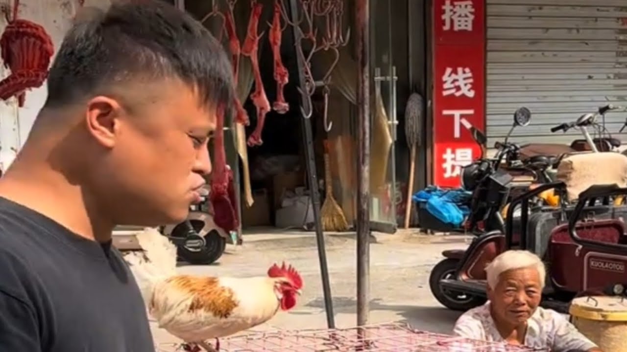 Funny Chicken Reactions to Troll Sounds You’ll Laugh Nonstop - YouTube
