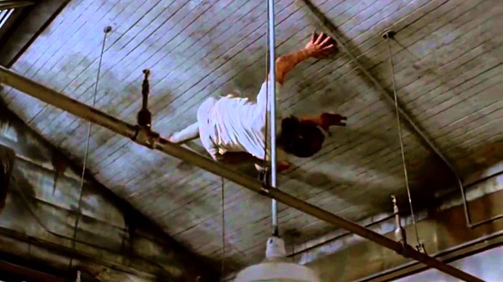 The Fly 1986 I Am Up Here Scene (HD) - YouTube