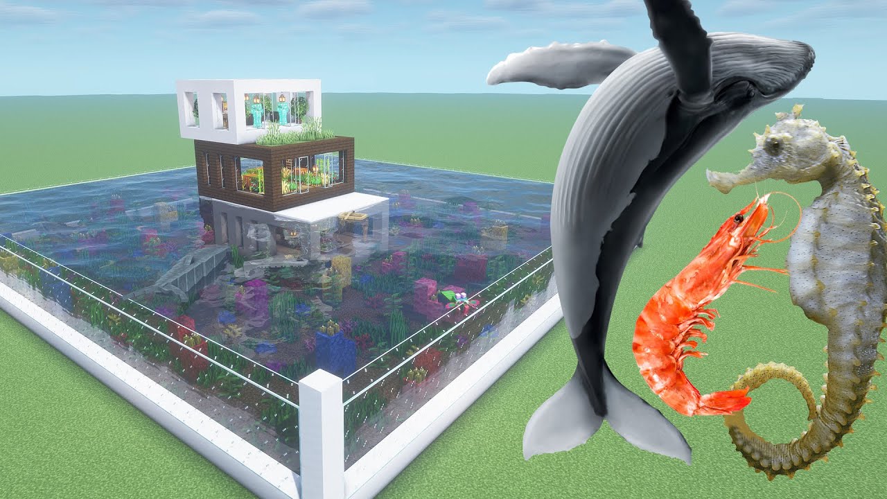 How To Make a Whale, Shrimp, and Seahorse Farm in Minecraft PE - YouTube