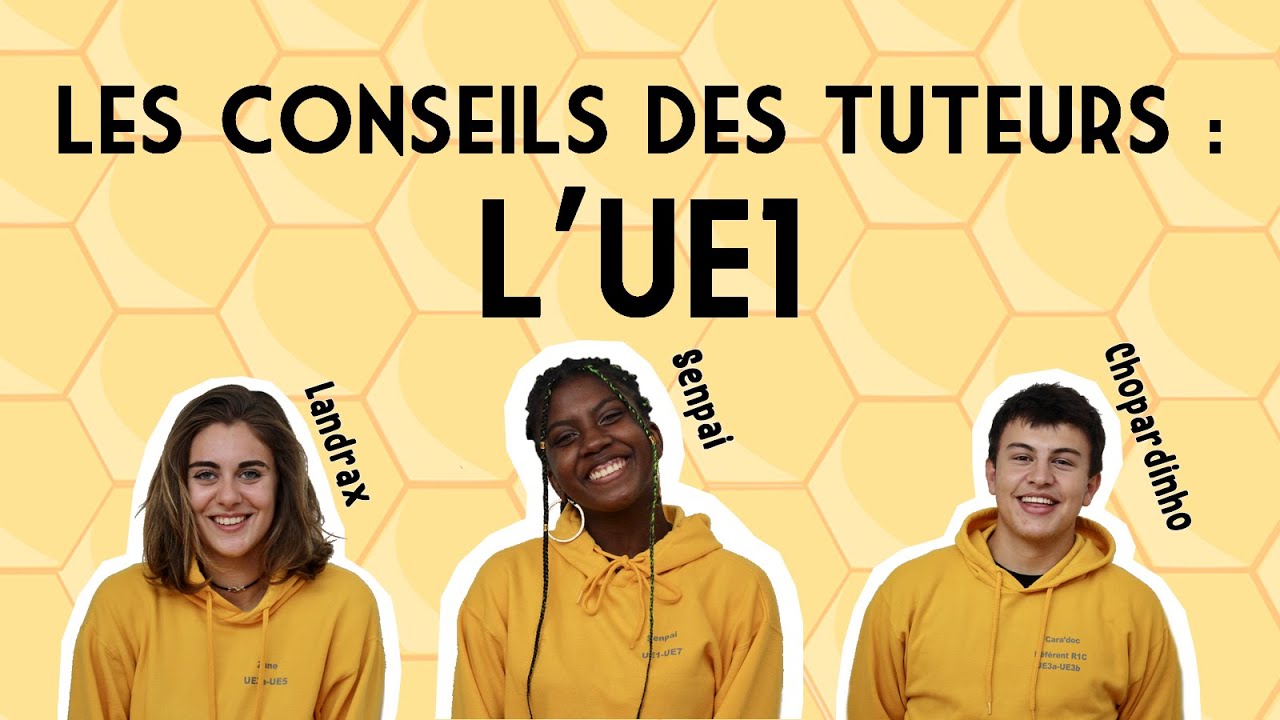 COMMENT TRAVAILLER L'UE1 #PASS/LAS - YouTube