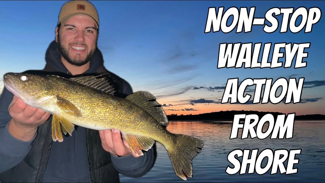 Sunset SHOWDOWN: NON-STOP Fall Walleye Action! - YouTube