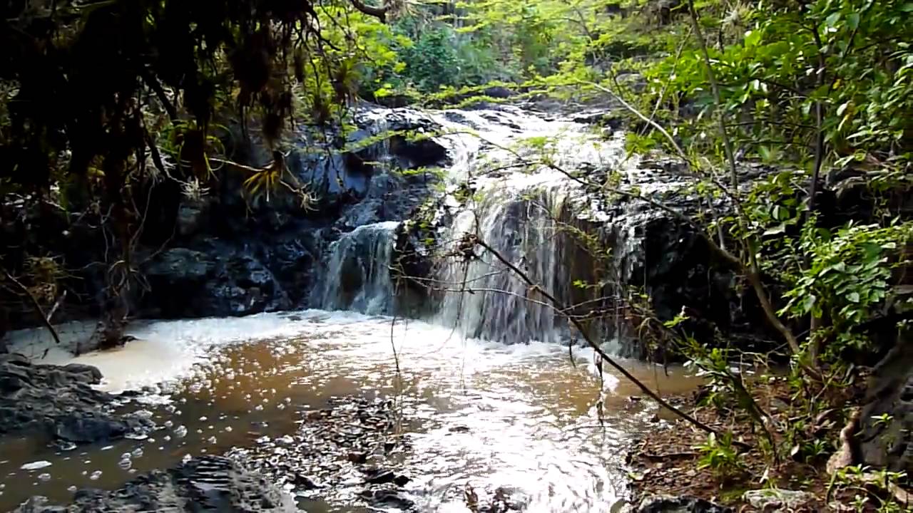 small rainwaterfall at Cristoffel Park in the island of Curacao in the ...